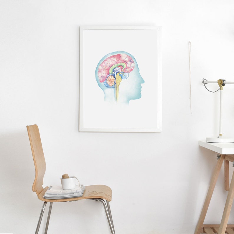Nervous System Human Brain Science Art Poster Biology - Etsy