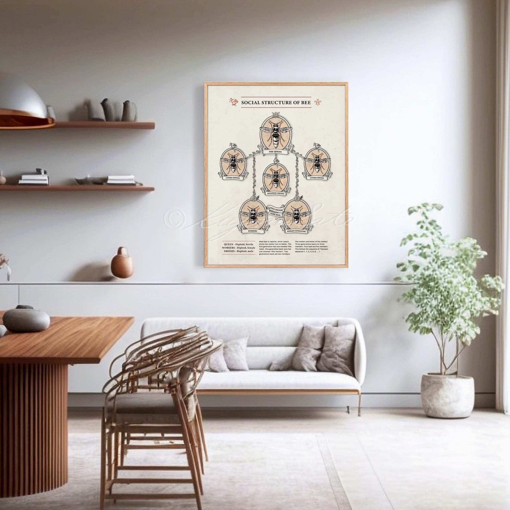 Social Structure of Bee, Melittology Art Poster, Bee Family Chart Print ...