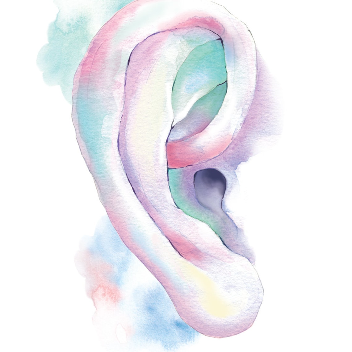 Ear Science Art 4 Print Set Otolaryngologist Biology Poster - Etsy