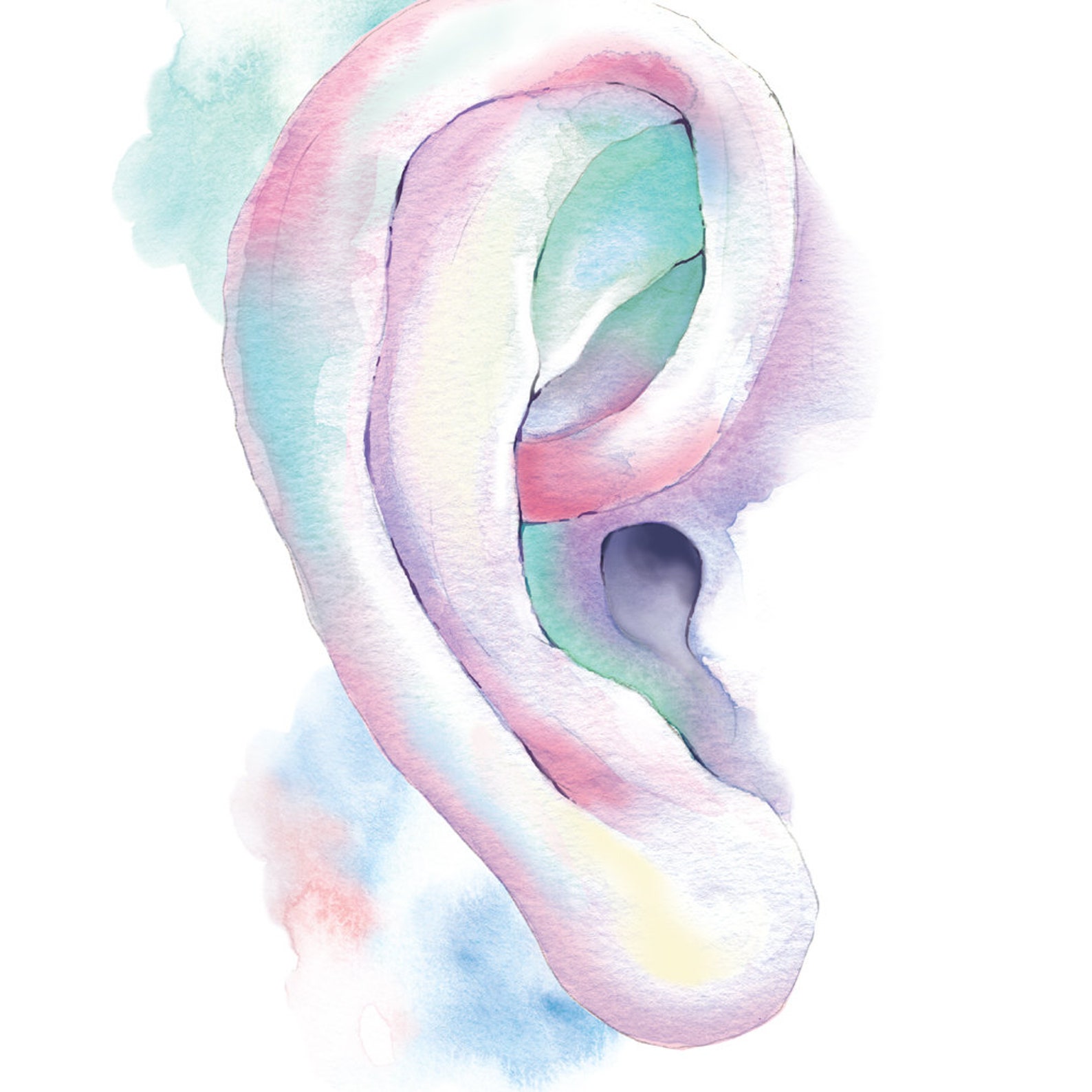 Ear Science Art 4 Print Set Otolaryngologist Biology Poster - Etsy