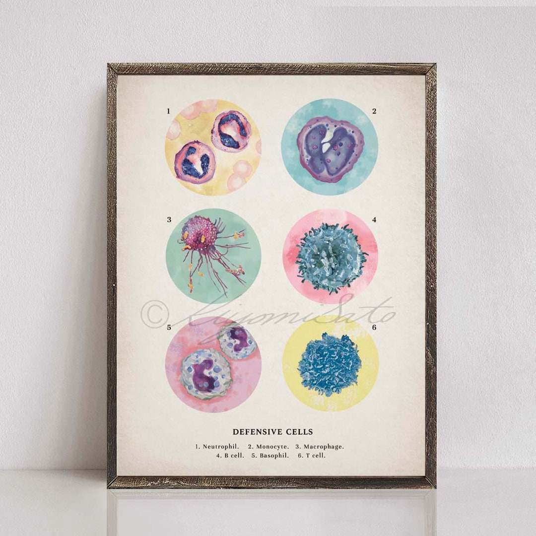 Defensive Cells, Old Academia Style Microbiology Poster, Science Art ...