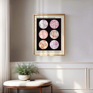 Respiratory Infection Causing Bacteria Collection Vintage Style Science ...