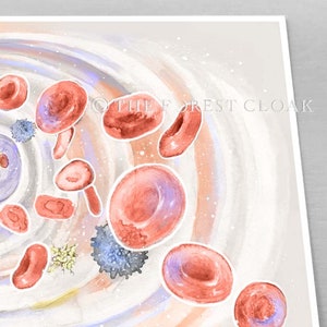 The Journey of Blood Cell, Science Art Print, Biology Wall Decor Poster ...