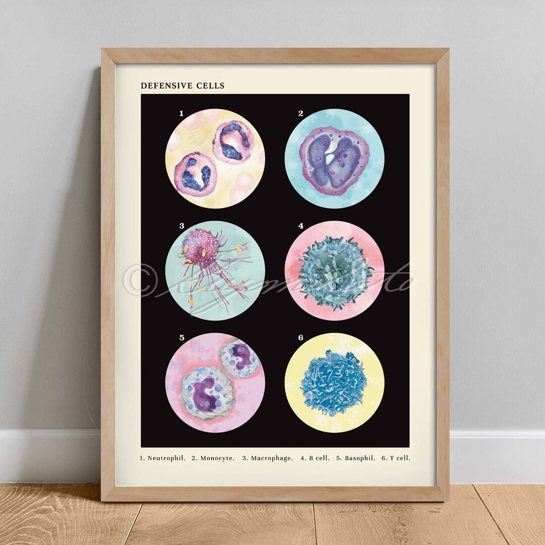 Defensive Cells, Vintage Style Microbiology Poster, Science Art Print ...