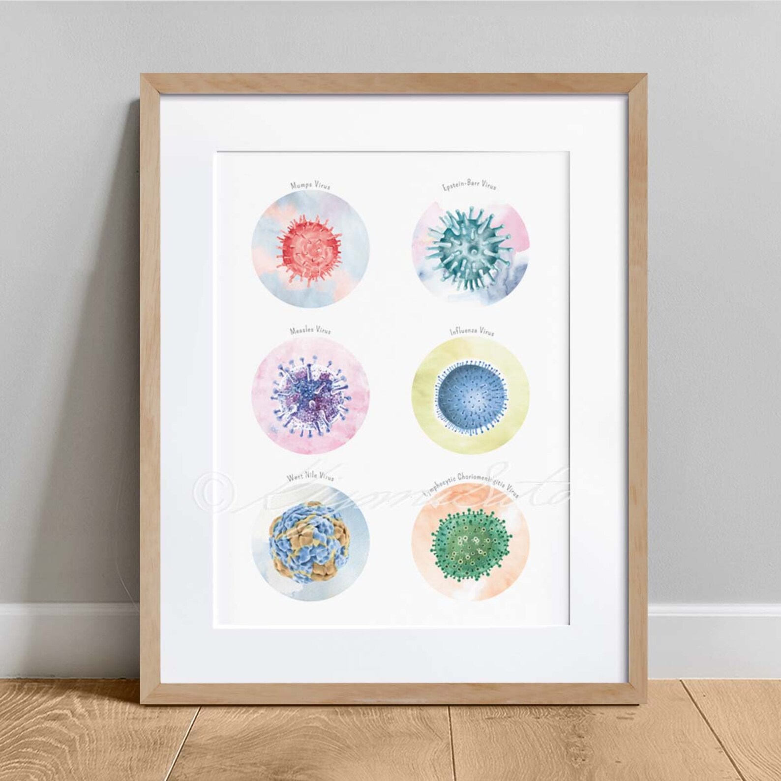 Meningitis Causing Virus Collection, Virology Art, Science Watercolor ...