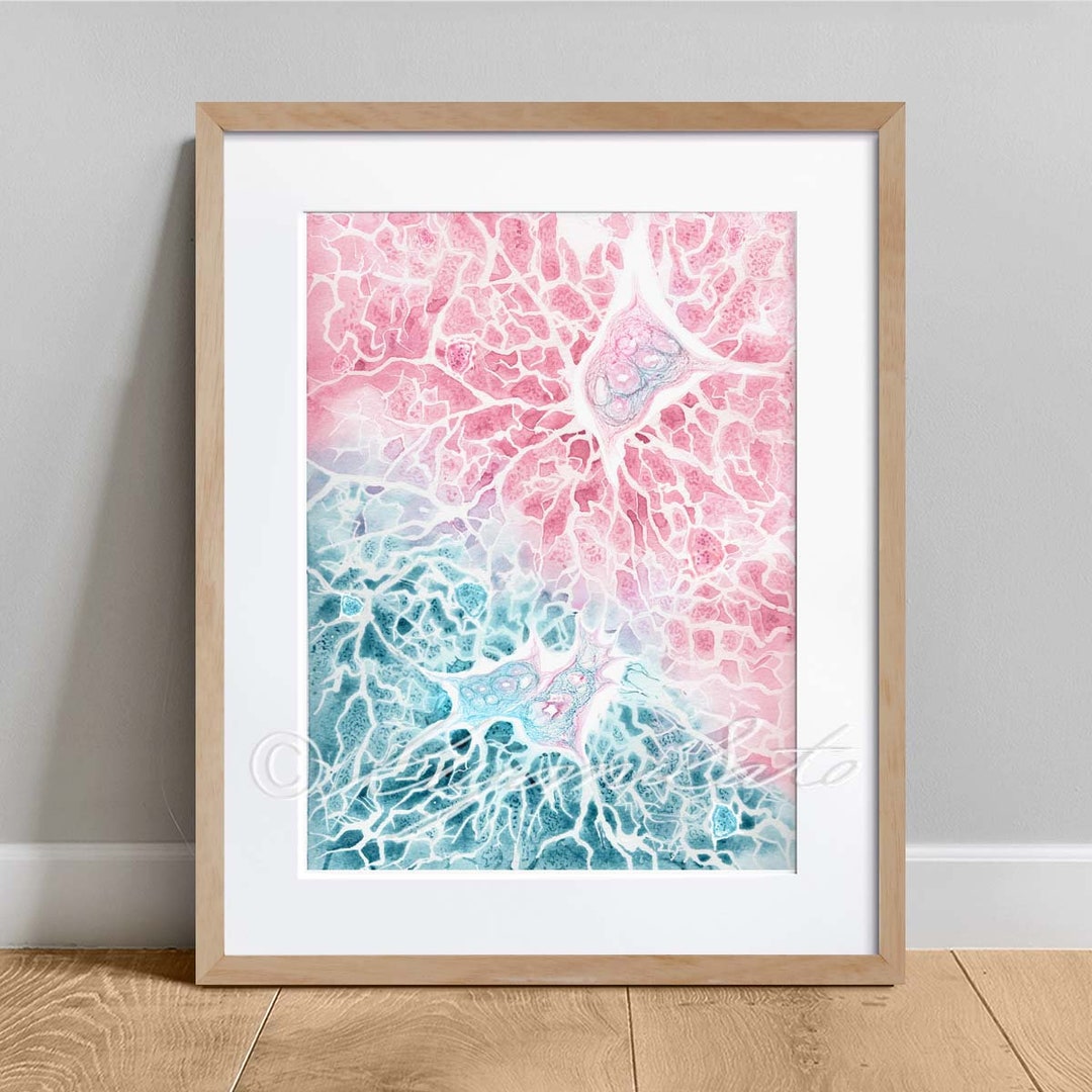 Pancreas Histology Art, Science Art Decor, Anatomy Watercolor Poster ...