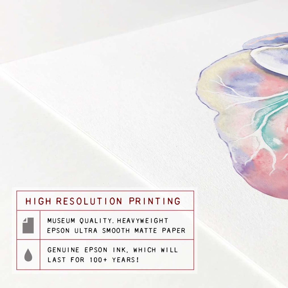 Canine Heart Anatomy Art Print Veterinary Decor Dog Biology - Etsy