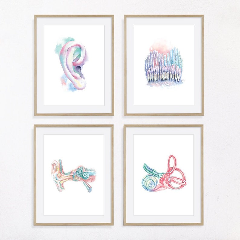 Ear Anatomy Watercolor Art Print Set, Otolaryngology Biology Poster - Etsy