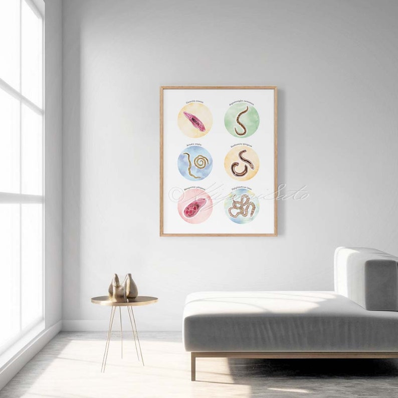Fish Borne Parasites Collection, Parasite Science Art Print ...