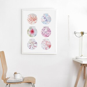 Oral Disease Causing Pathogens Bacteria Art Collection Print, Dentistry ...