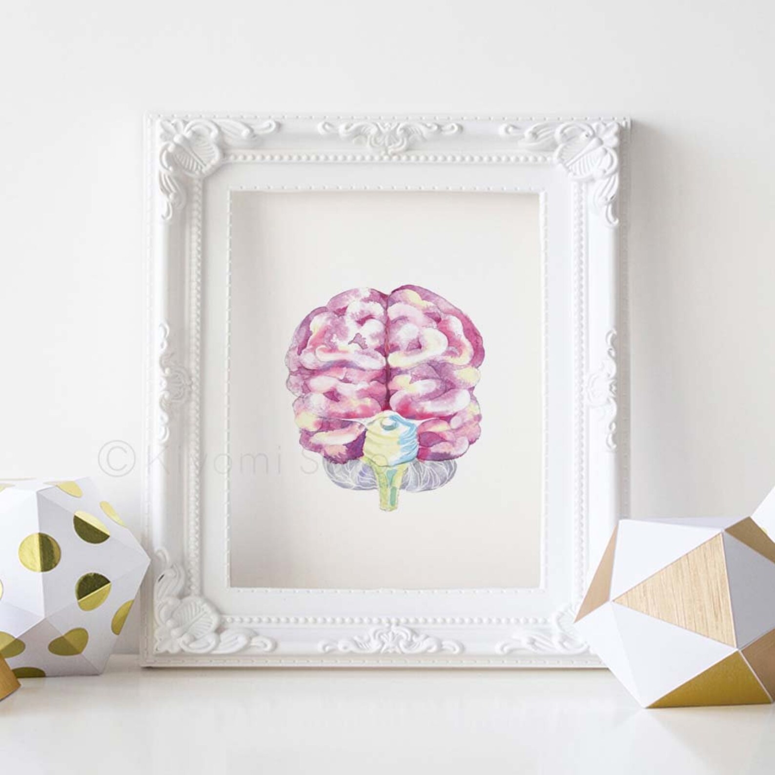Human Brain Watercolor Painting Poster Science Art Biology - Etsy