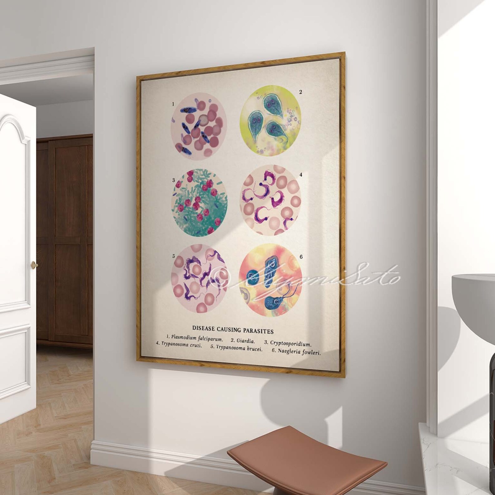 Disease Causing Parasite Collection, Old Academia Style Science Art ...