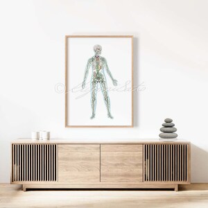 Lymphatic System Art Poster, Science Art, Biology Watercolor, Human ...