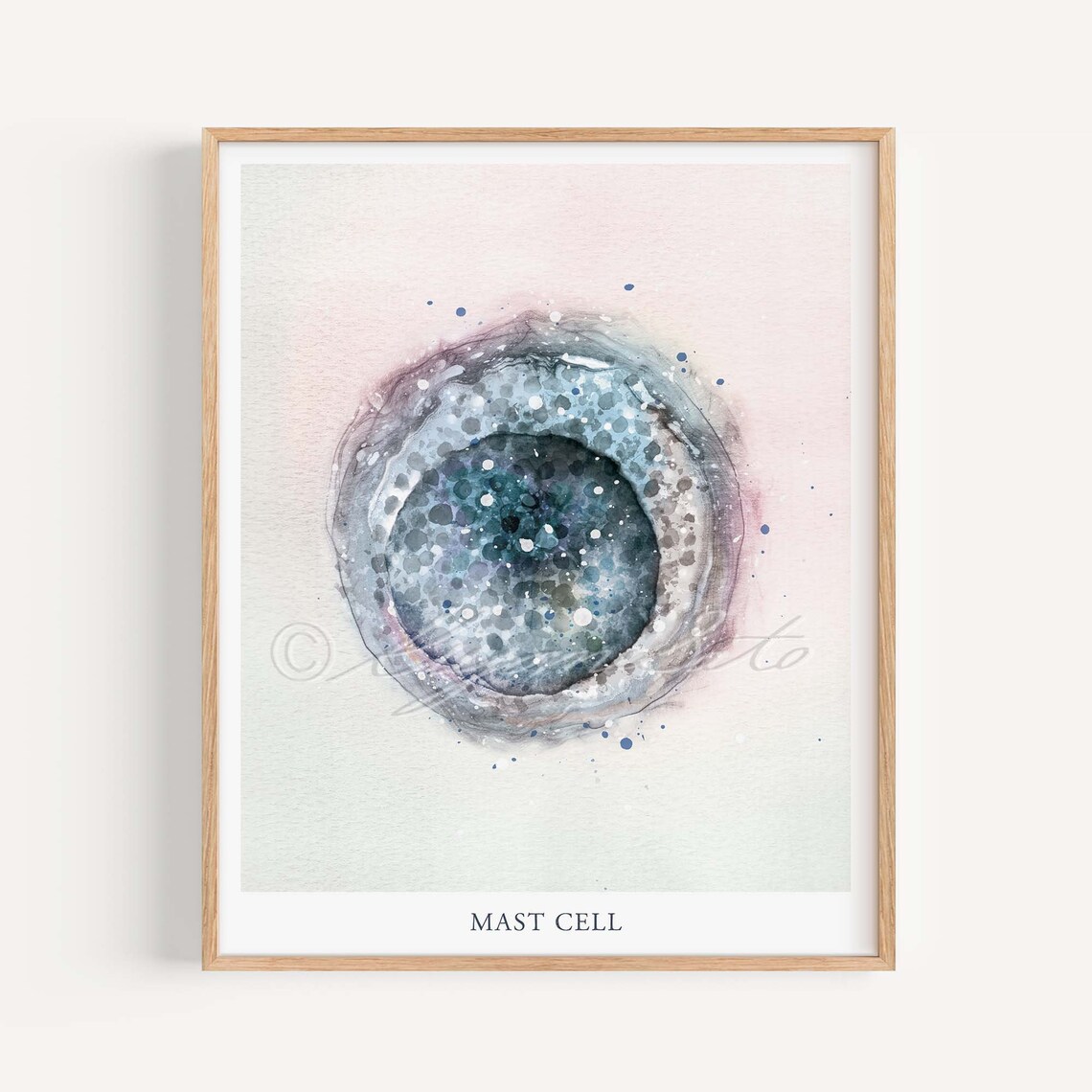 Mast Cell Innate Immunity Art Print White Blood Cell Cytology ...