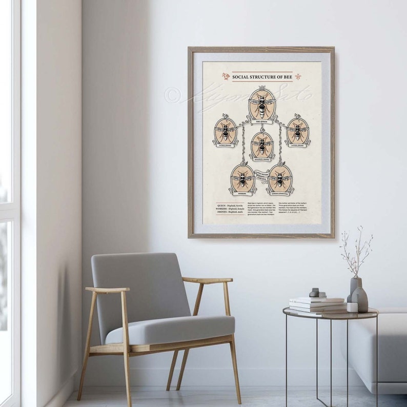 Social Structure of Bee, Melittology Art Poster, Bee Family Chart Print ...