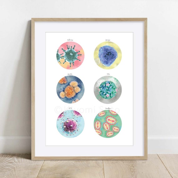 Epidemic Virus Collection Science Art Influenza Virus - Etsy