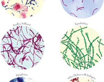 Giclée Pac-Man Toxin in Tuberculosis Canvas Acrylic Science Art Print ...