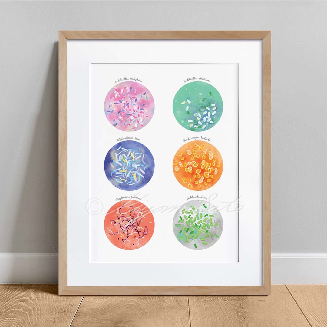 Beneficial Bacteria Collection, Probiotics Art Poster, Science Art ...