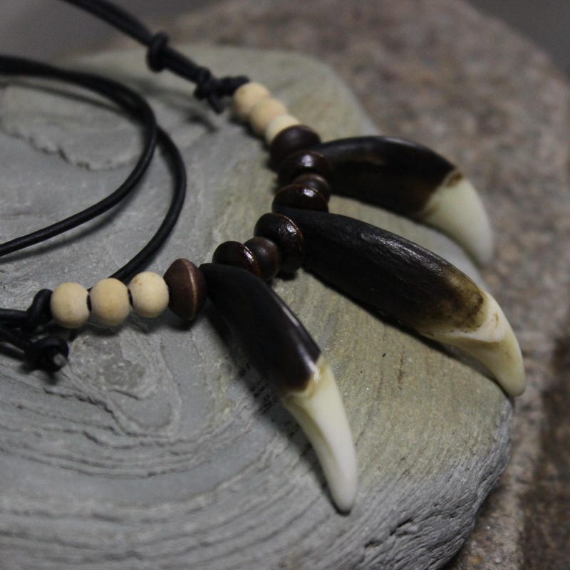 Wolf Tooth, Claw - Etsy