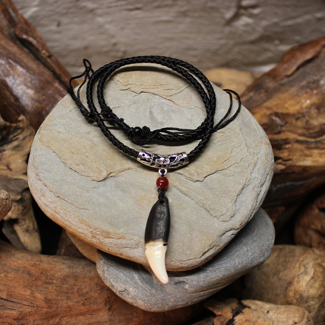Large Wolf Tooth Necklace Wolf Teeth Necklace Wolf Necklace Wolf Tooth ...
