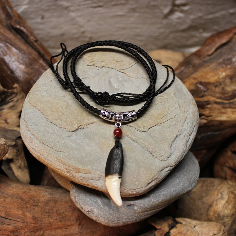 Real Wolfs Tooth Necklace - Etsy