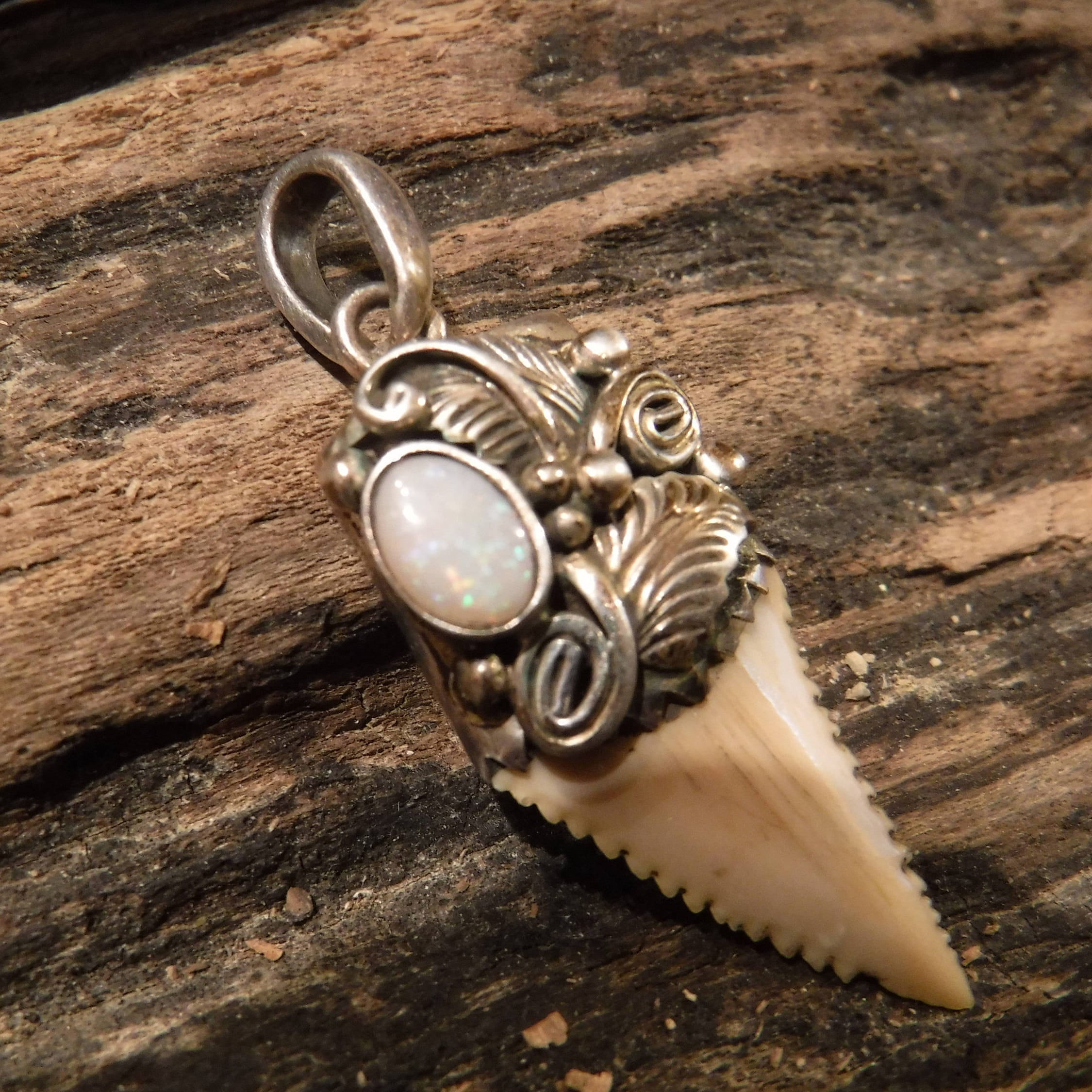 Vintage Navajo Shark Tooth Pendant 5.6 Grams Sterling Silver Fire Opal ...