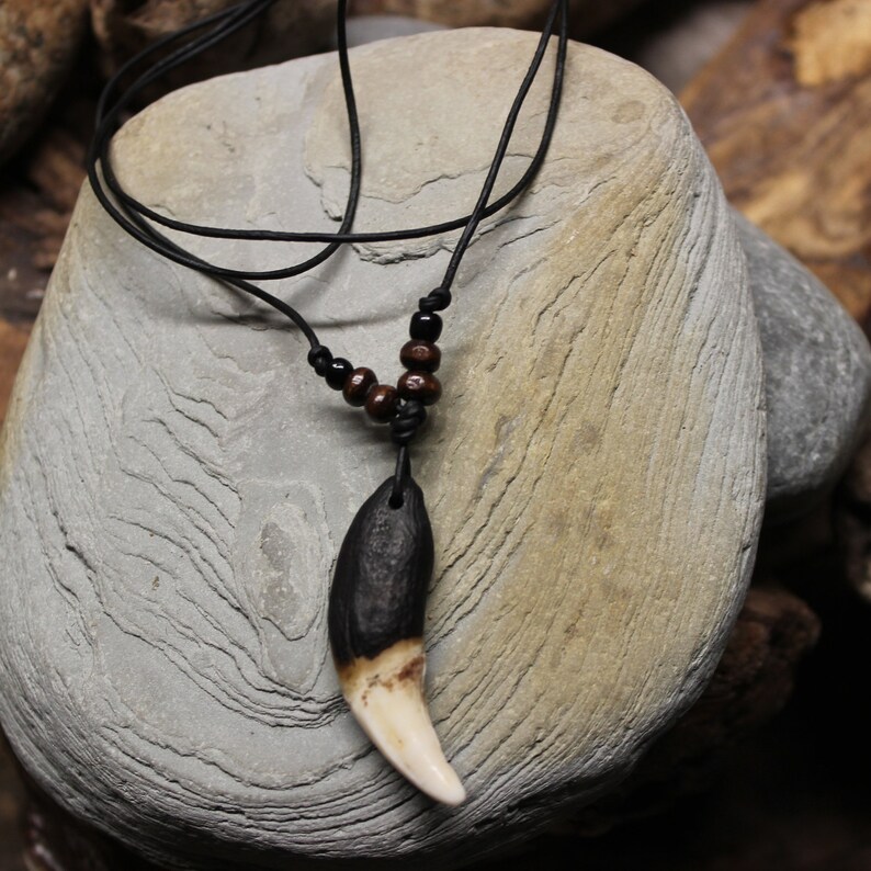 Large Wolf Tooth Necklace Wolf Teeth Necklace Wolf Necklace | Etsy