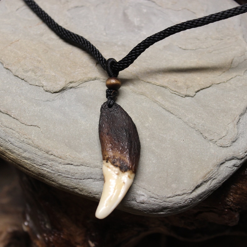 Large Wolf Tooth Necklace Wolf Teeth Necklace Wolf Necklace Wolf Tooth ...