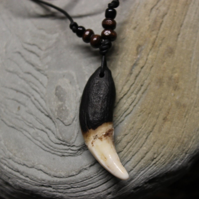 Large Wolf Tooth Necklace Wolf Teeth Necklace Wolf Necklace | Etsy