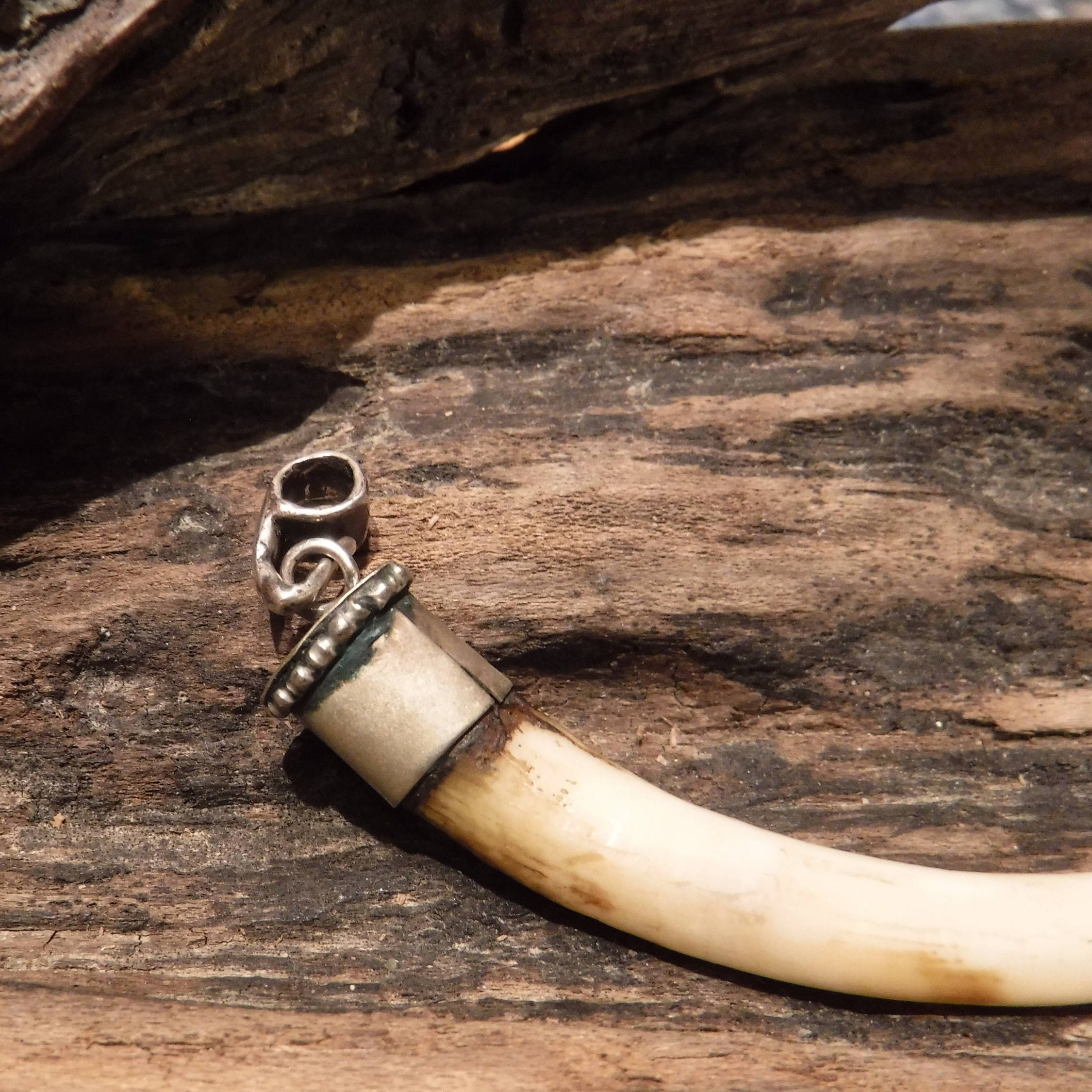 Rare Large Vintage Native African Sterling Silver Wild Boar Tooth ...