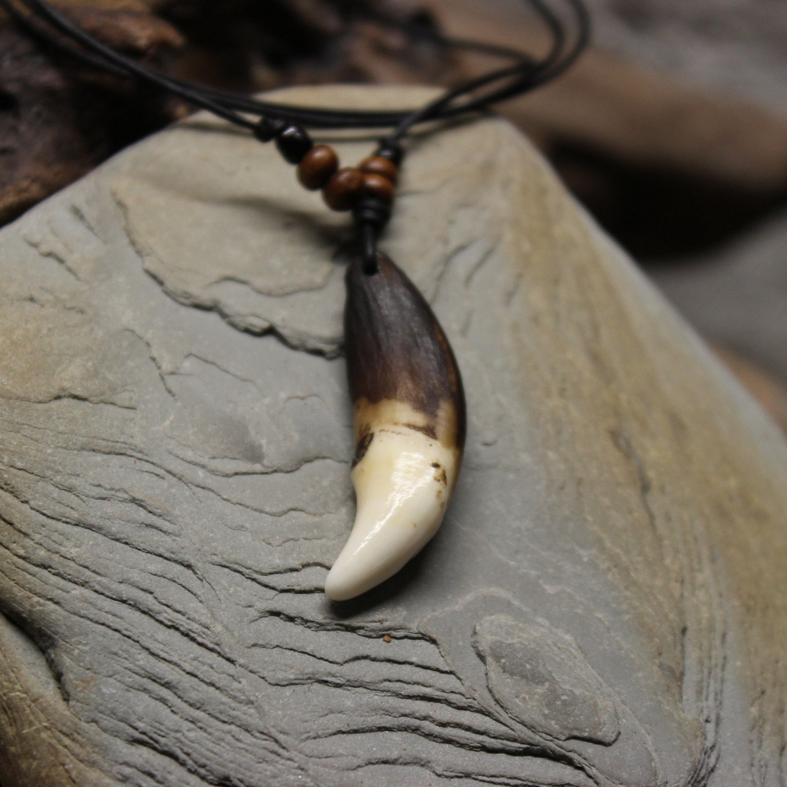 Large Wolf Tooth Necklace Wolf Teeth Necklace Wolf Necklace | Etsy