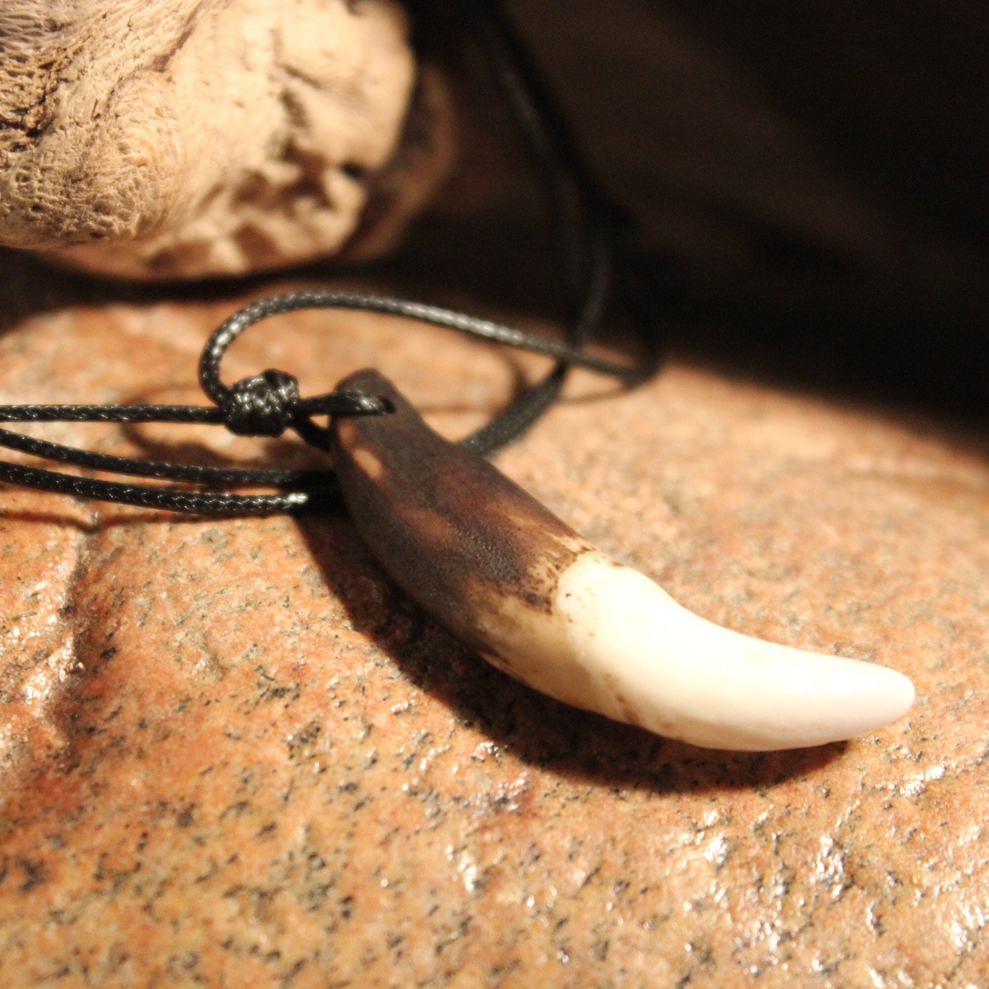 Large Wolf Tooth Necklace Wolf Teeth Necklace Wolf Necklace Wolf Tooth ...