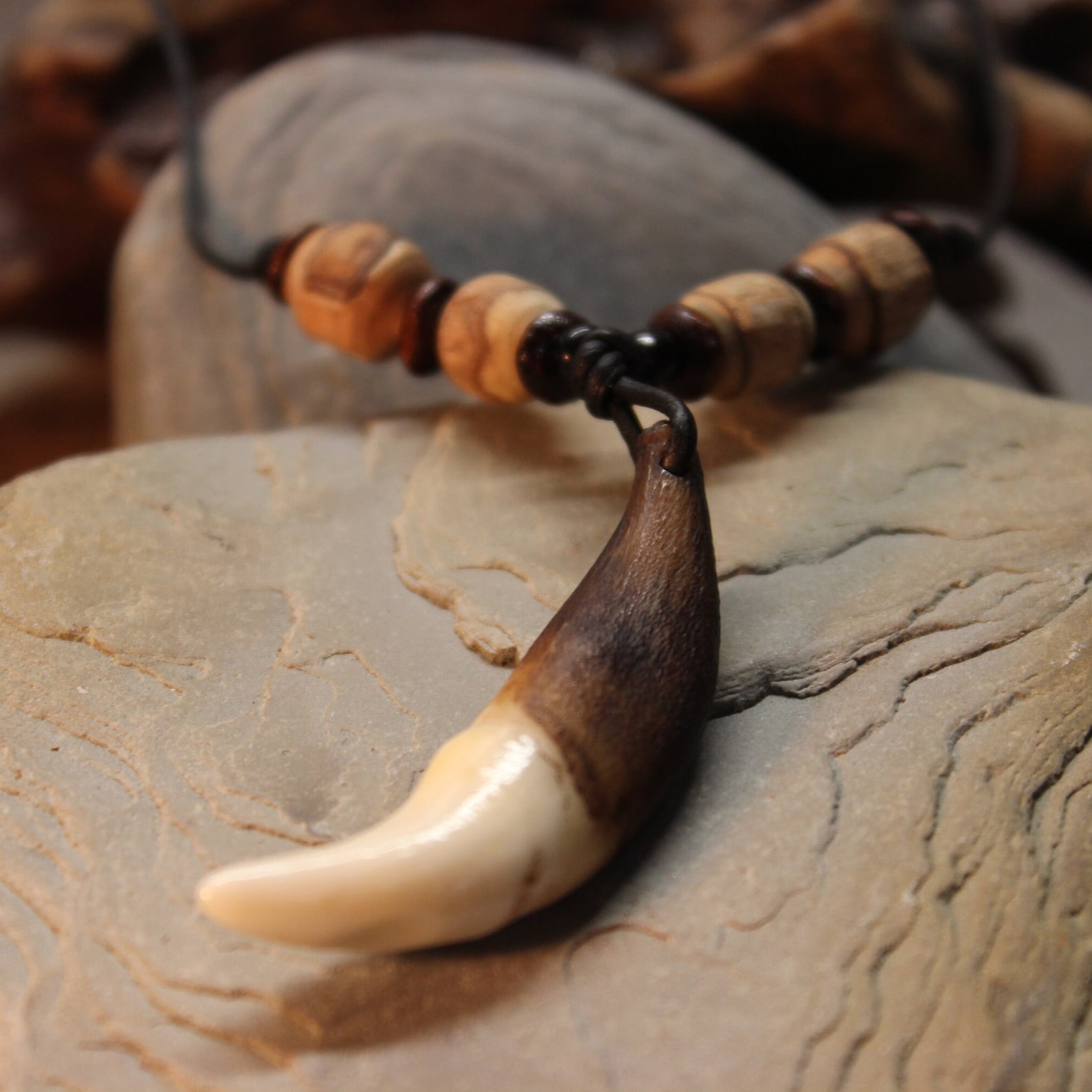 Large Wolf Tooth Necklace Wolf Teeth Necklace Wolf Necklace Wolf Tooth ...