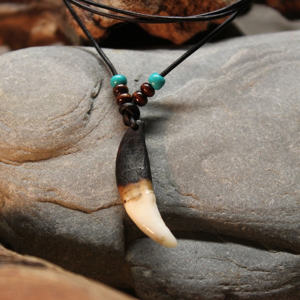 Wolf Tooth Necklace - Etsy