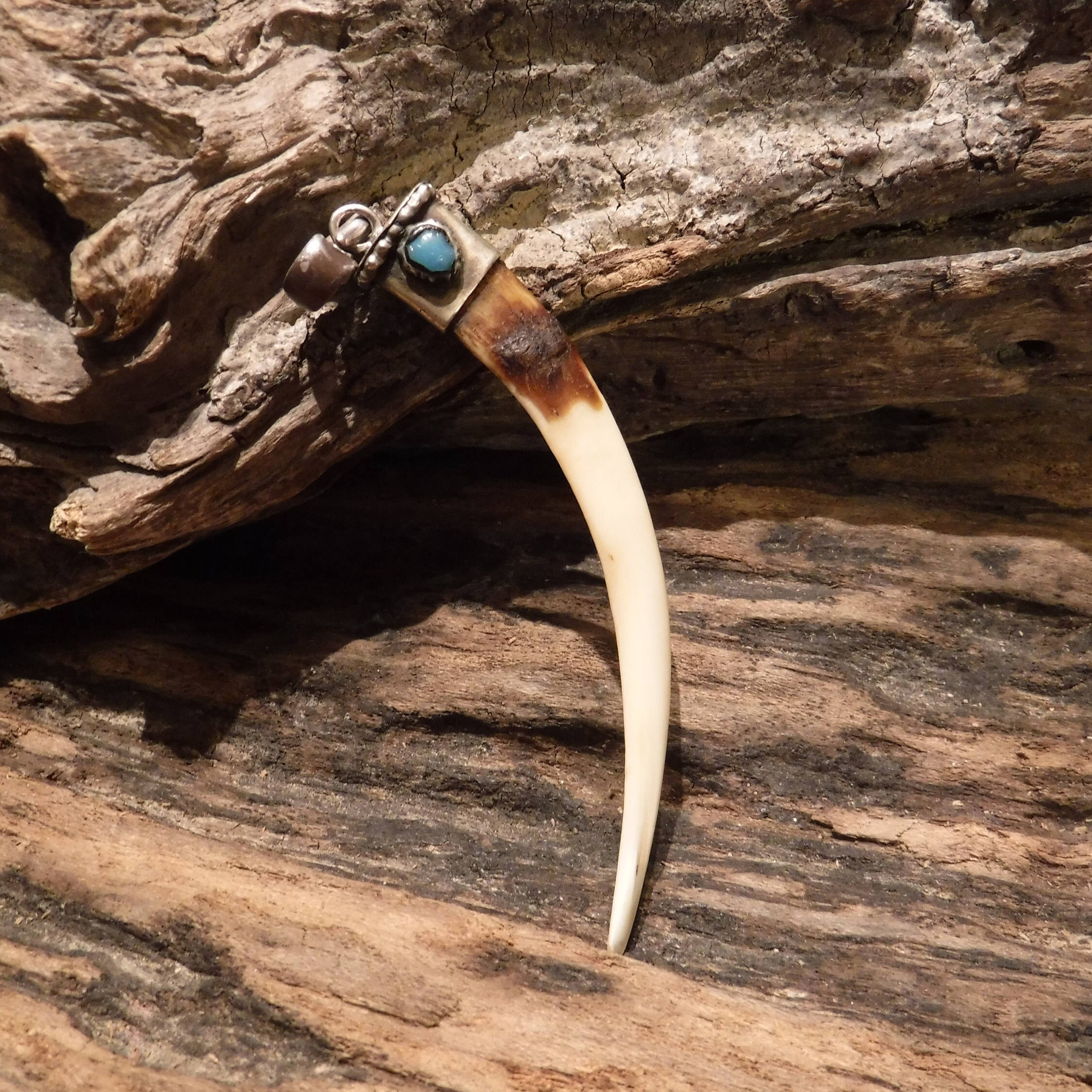 Rare Large Vintage Native African Sterling Silver Wild Boar Tooth ...