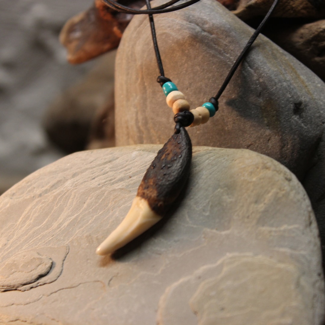 Large Wolf Tooth Necklace Wolf Teeth Necklace Wolf Necklace Wolf Tooth ...