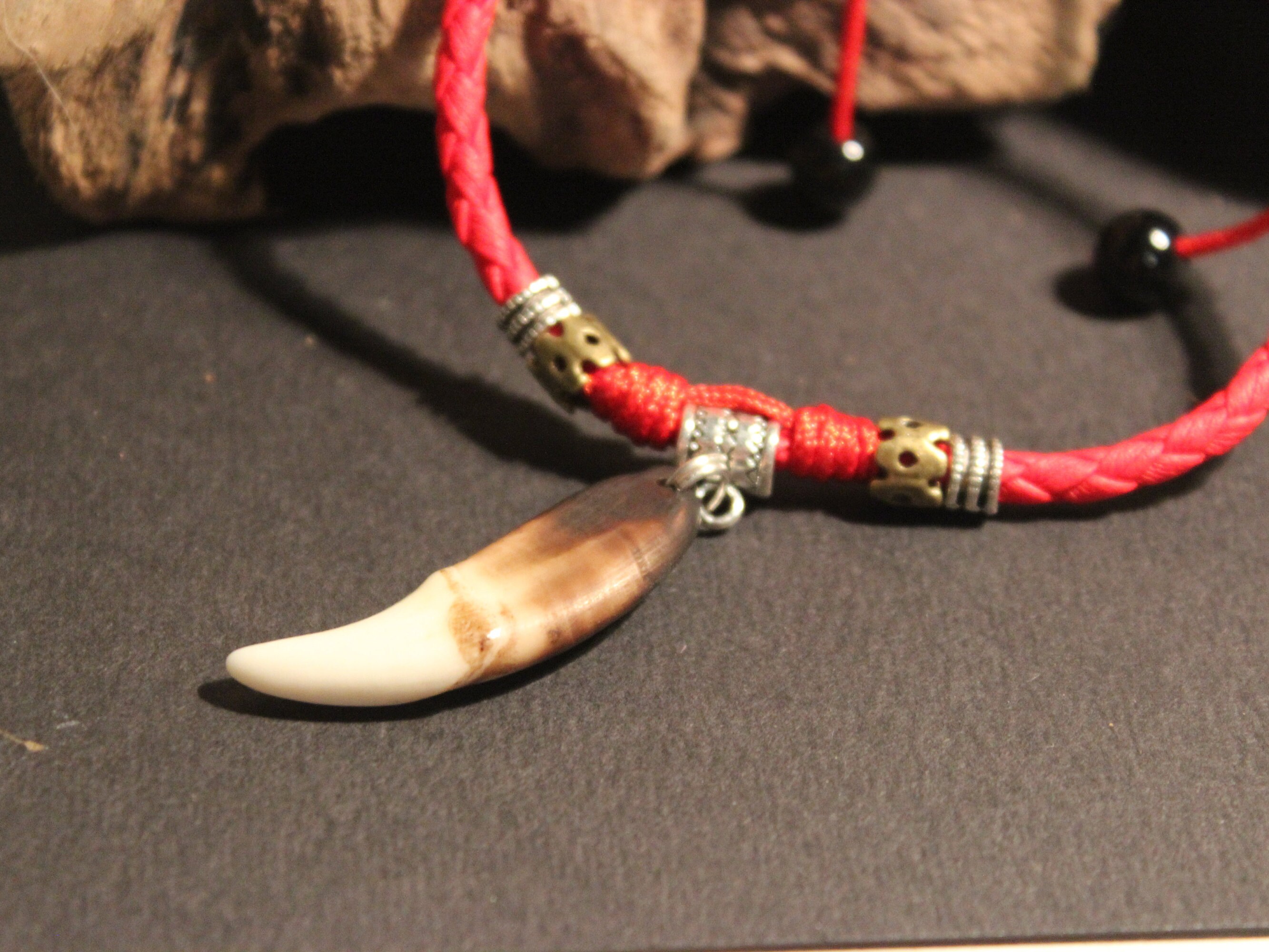 Large Wolf Tooth Ankle Bracelet Wolf Teeth Bracelet Wolf Tooth Bracelet ...