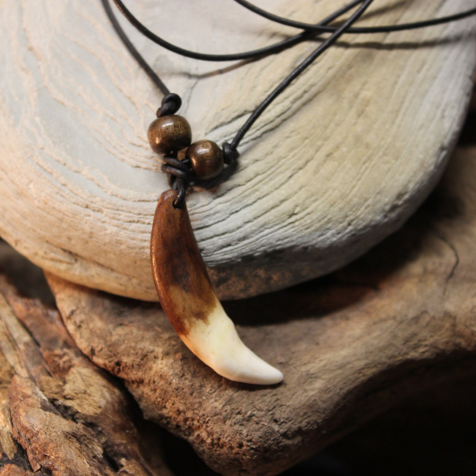Large Wolf Tooth Necklace Wolf Teeth Necklace Wolf Necklace Wolf Tooth ...