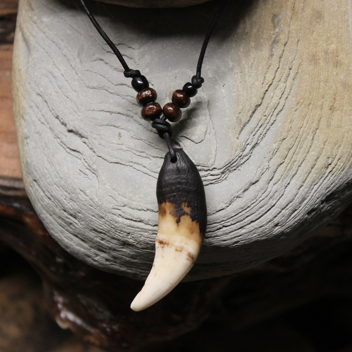 Large Wolf Tooth Necklace Wolf Teeth Necklace Wolf Necklace | Etsy