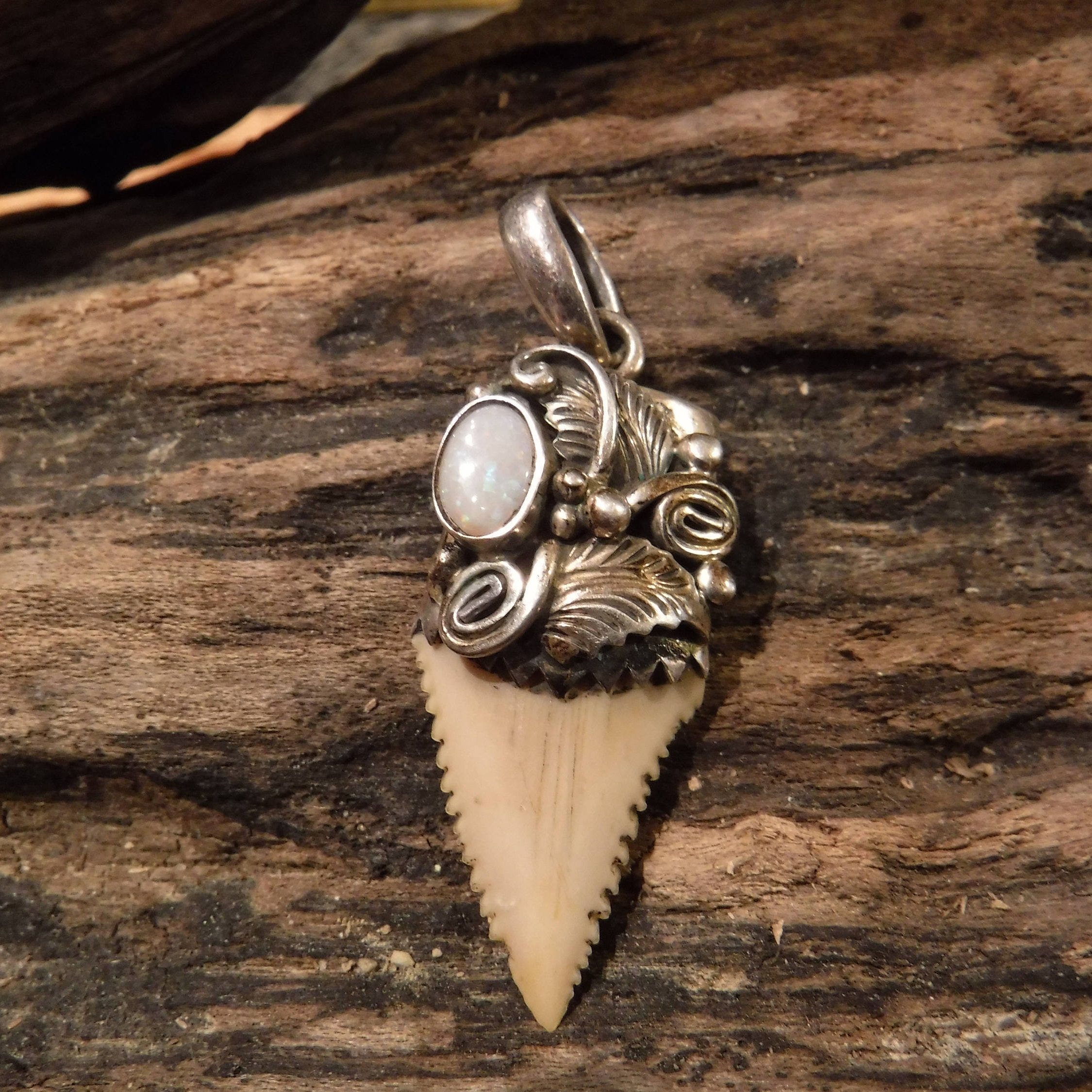 Vintage Navajo Shark Tooth Pendant 5.6 Grams Sterling Silver Fire Opal ...