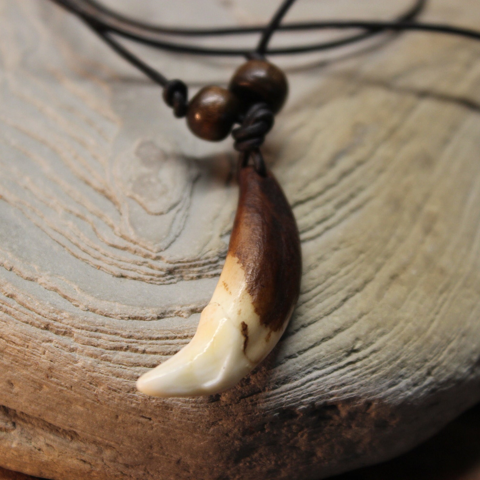 Large Wolf Tooth Necklace Wolf Teeth Necklace Wolf Necklace Wolf Tooth ...