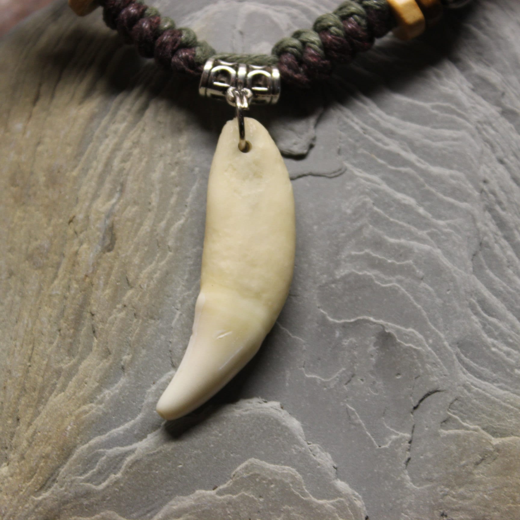 Large Wolf Tooth Necklace Wolf Teeth Necklace Wolf Necklace Wolf Tooth ...