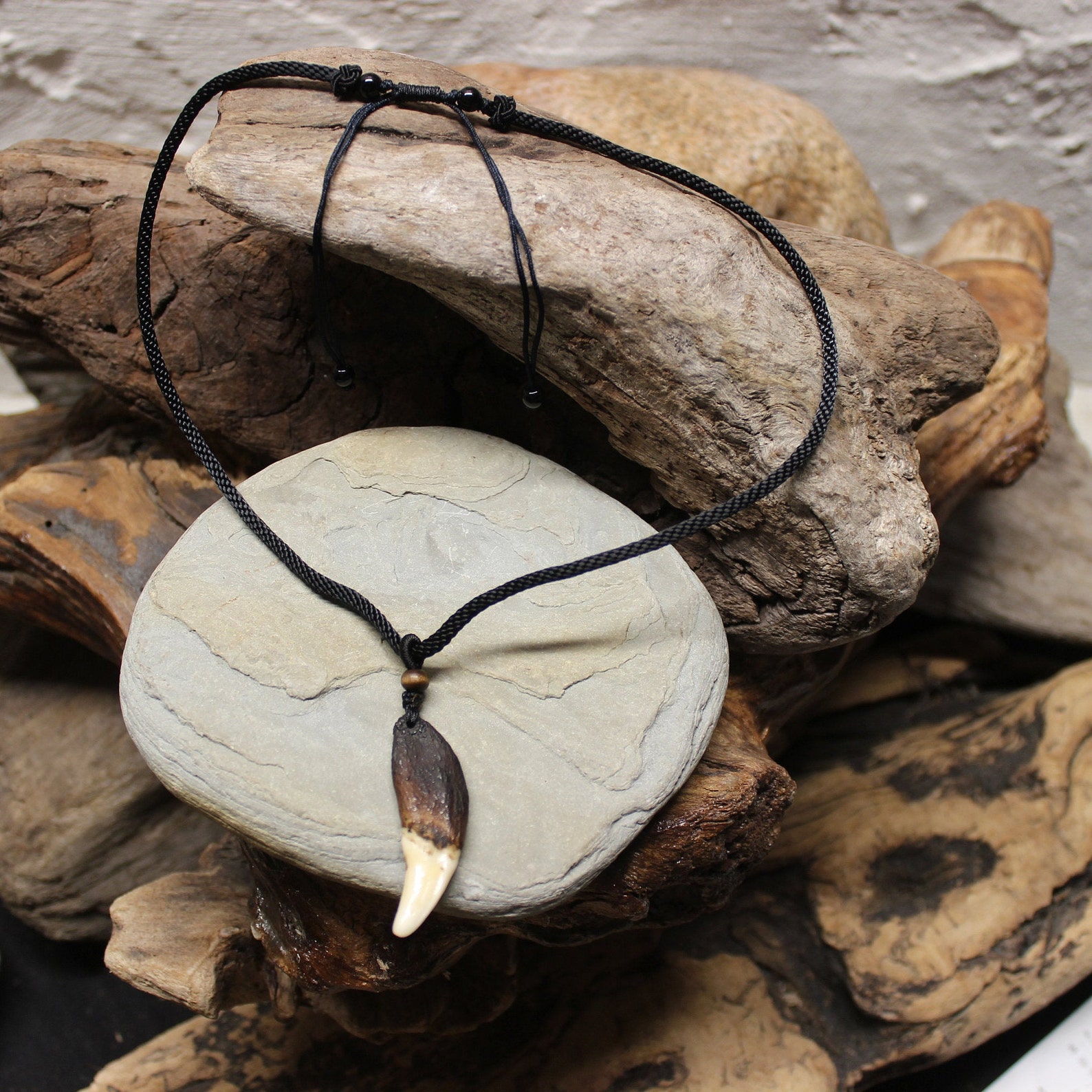 Large Wolf Tooth Necklace Wolf Teeth Necklace Wolf Necklace - Etsy