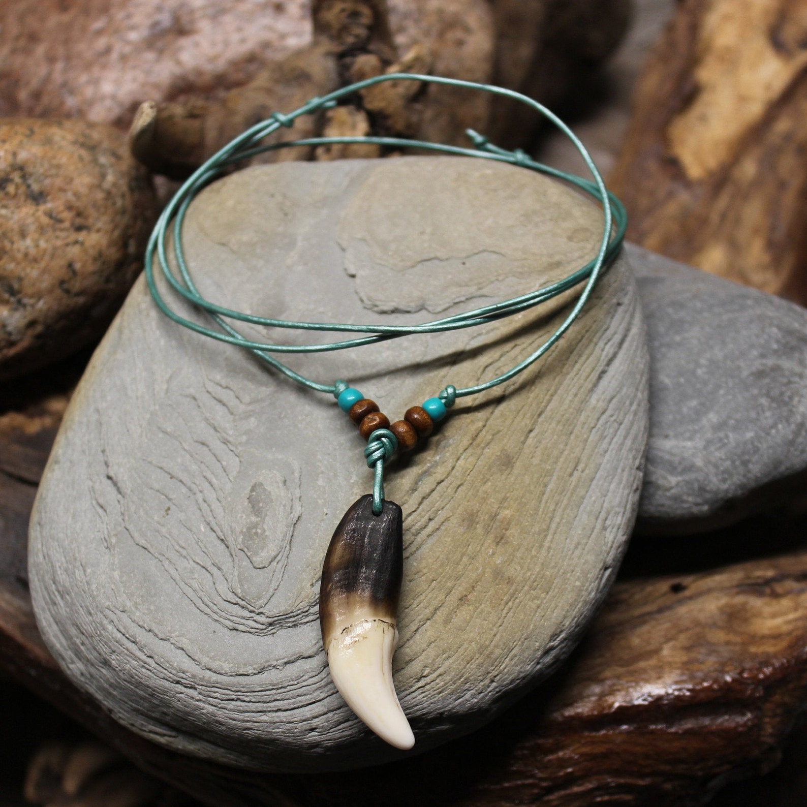 Large Wolf Tooth Necklace Wolf Teeth Necklace Wolf Necklace | Etsy