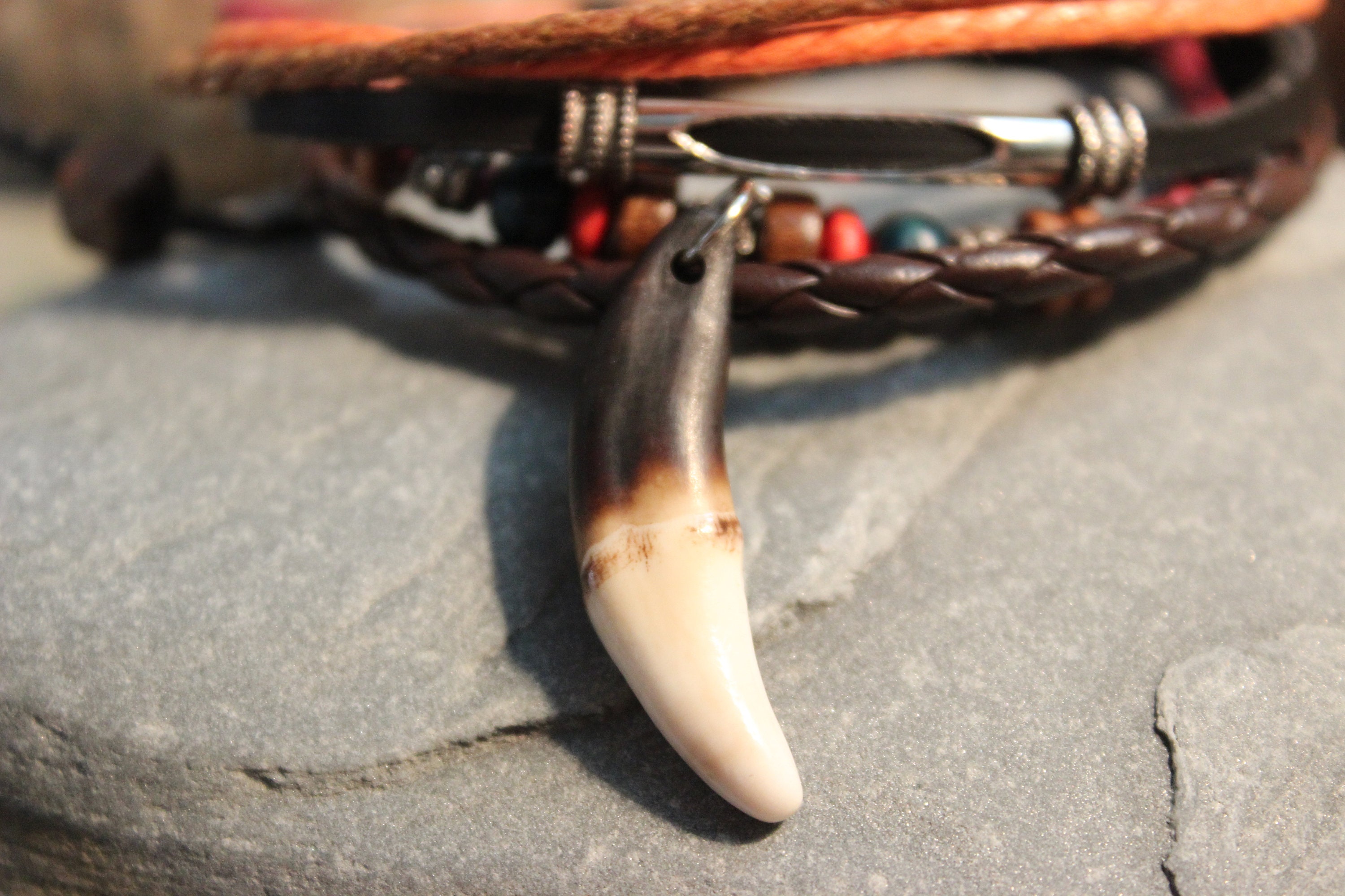 Real Wolf Tooth Bracelet Wolf Bracelet Wolf Bracelet Tribal Wolf Tooth ...