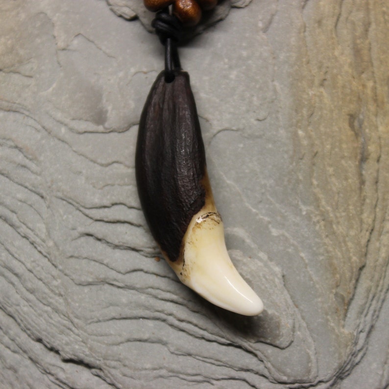 Large Wolf Tooth Necklace Wolf Teeth Necklace Wolf Necklace | Etsy