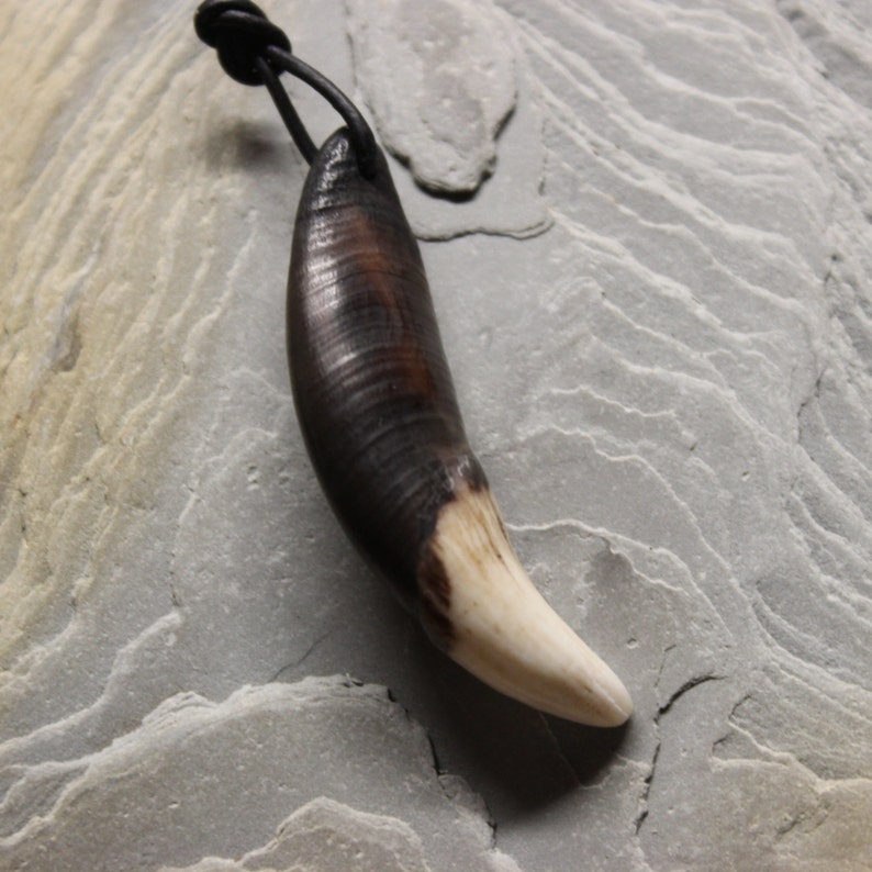 Large Wolf Tooth Necklace Wolf Teeth Necklace Wolf Necklace - Etsy