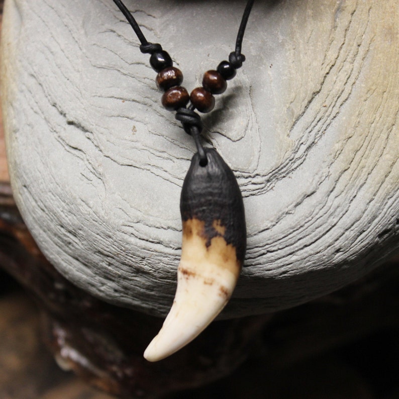 Large Wolf Tooth Necklace Wolf Teeth Necklace Wolf Necklace | Etsy