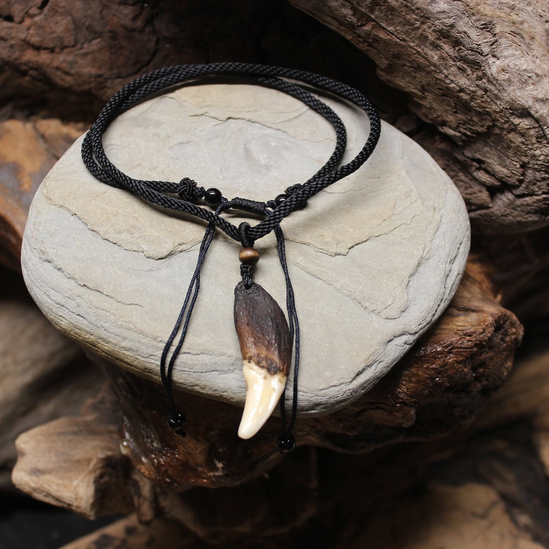 Large Wolf Tooth Necklace Wolf Teeth Necklace Wolf Necklace Wolf Tooth ...