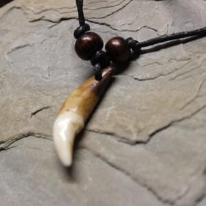 Wolf Tooth Necklace Wolf Teeth Necklace Wolf Necklace Wolf Tooth ...